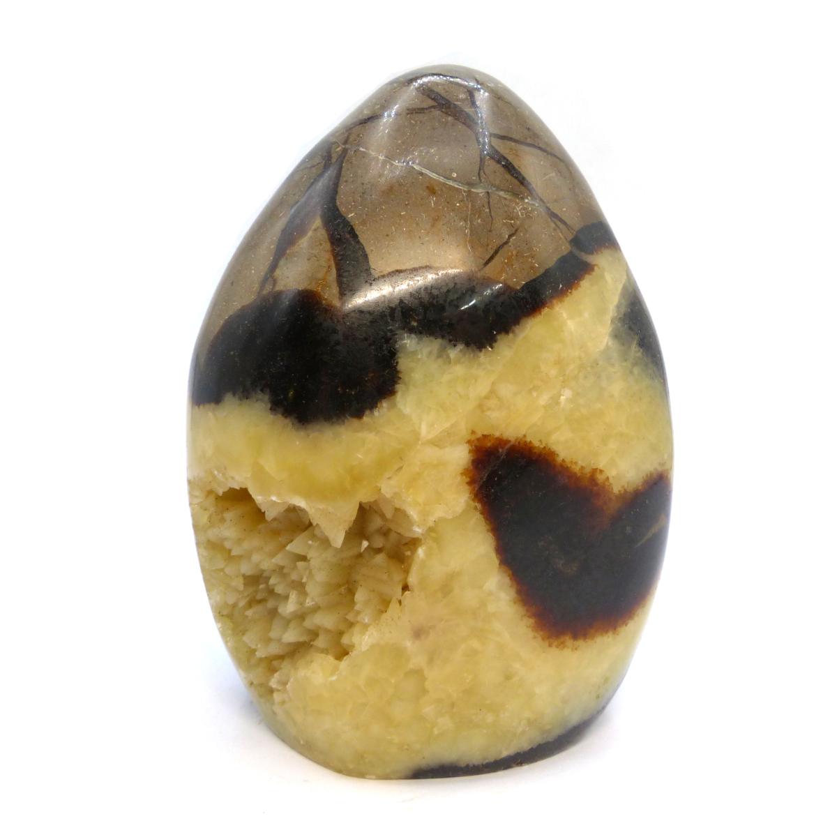 Septaria Forme Libre